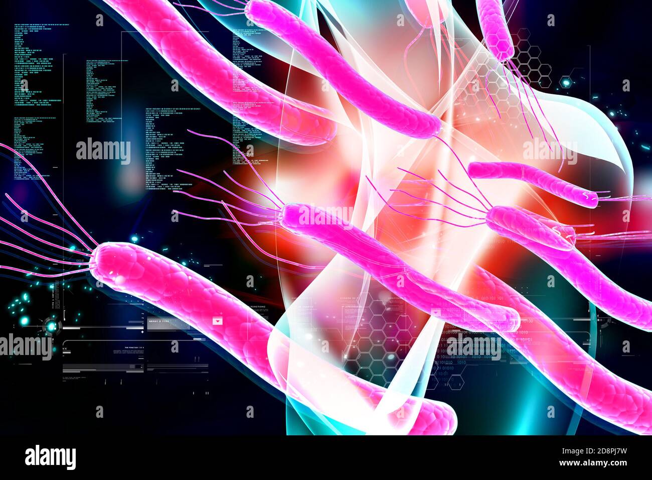 Digital illustration of Helicobacter bacteria in color background Stock ...