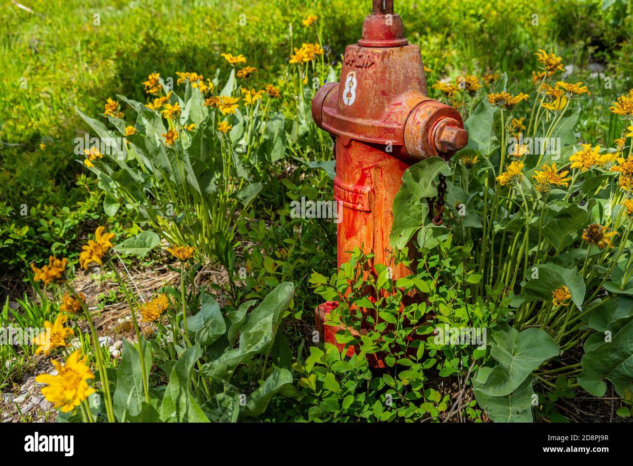 old fashioned fire hydrant Stock Photo - Alamy