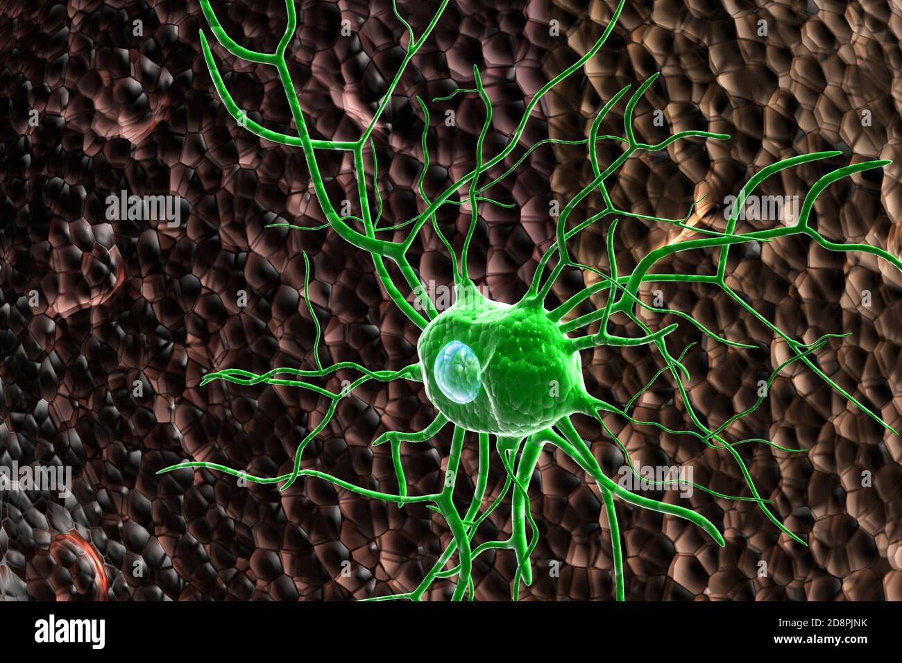 3d Nerve cells Stock Photo - Alamy