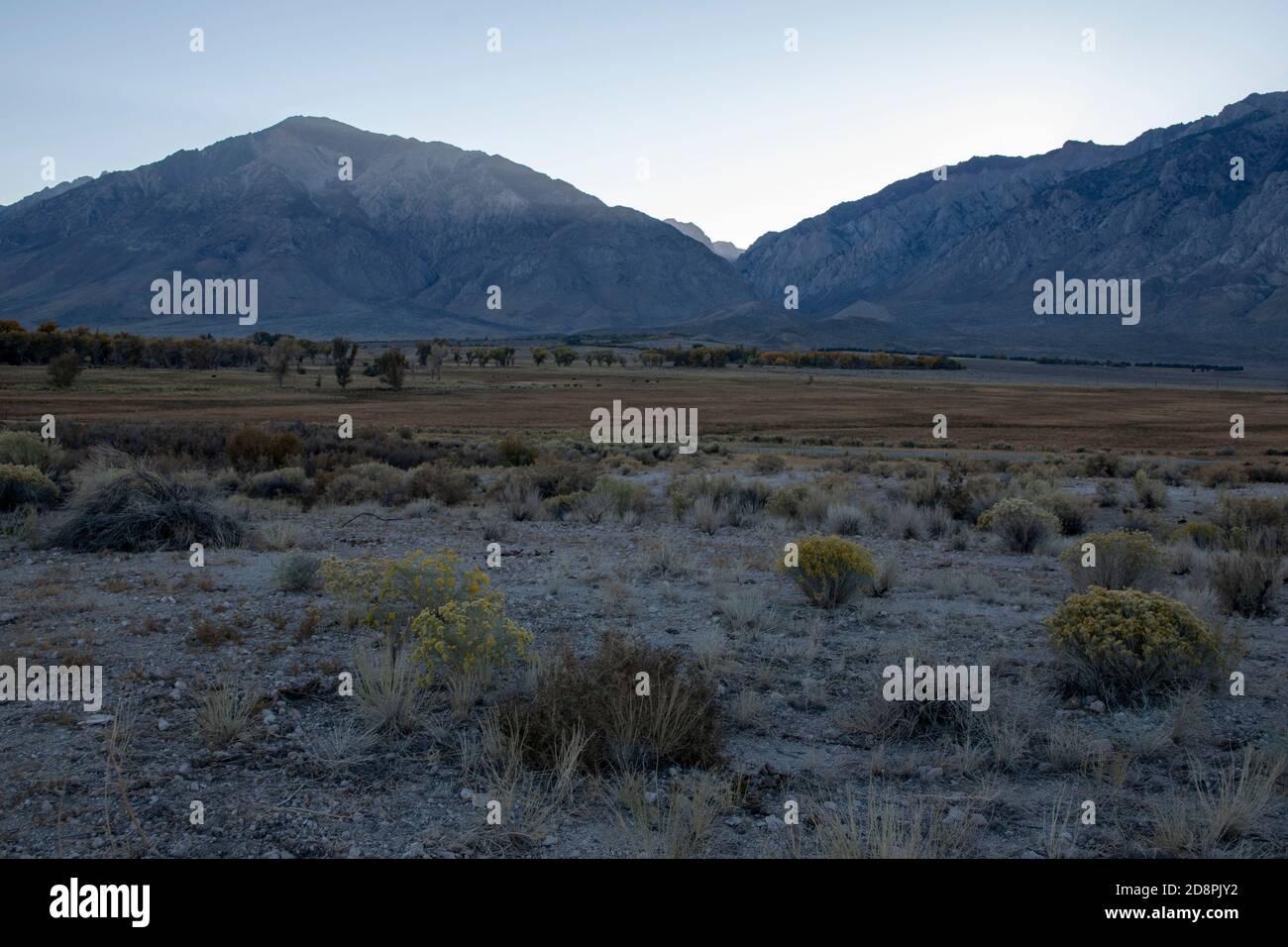 Bishop sits in Owens Valley, Inyo County, CA. It is an oasis that sits ...