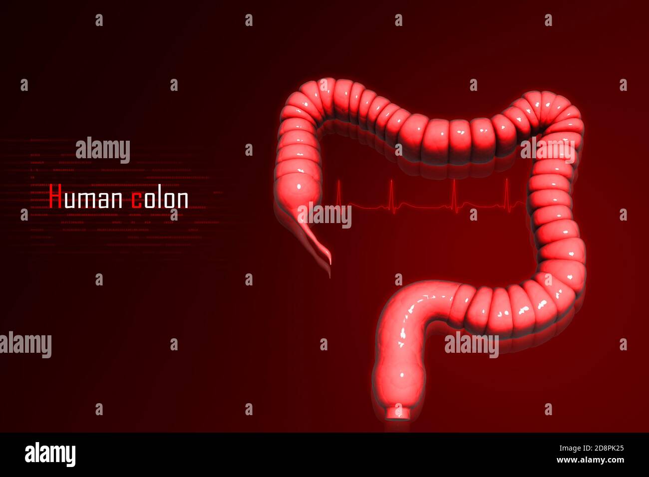 Human colon hi-res stock photography and images - Alamy
