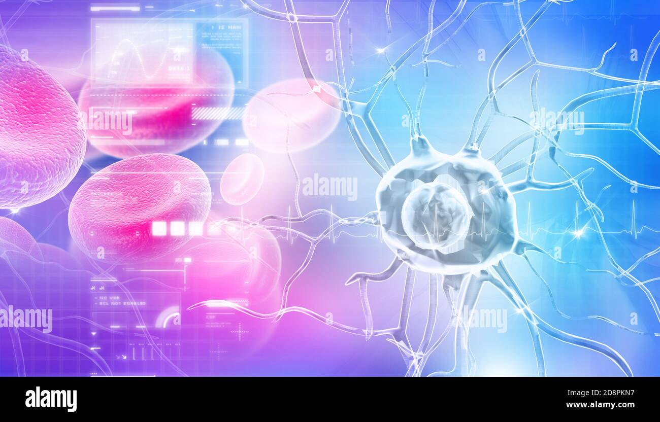 3d Nerve cells in digital design Stock Photo - Alamy