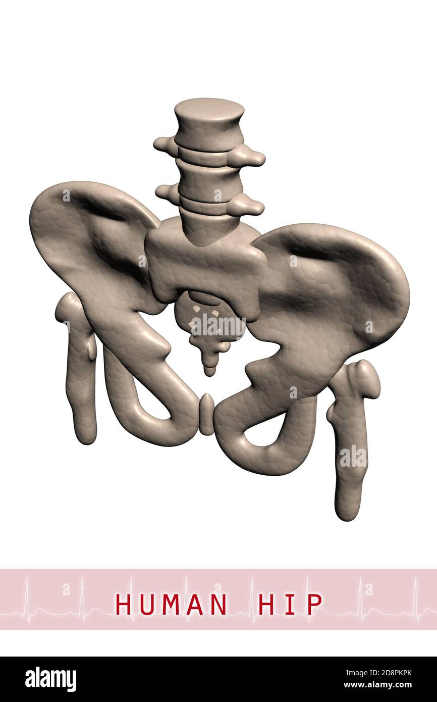 3d hip joint Cut Out Stock Images & Pictures - Alamy