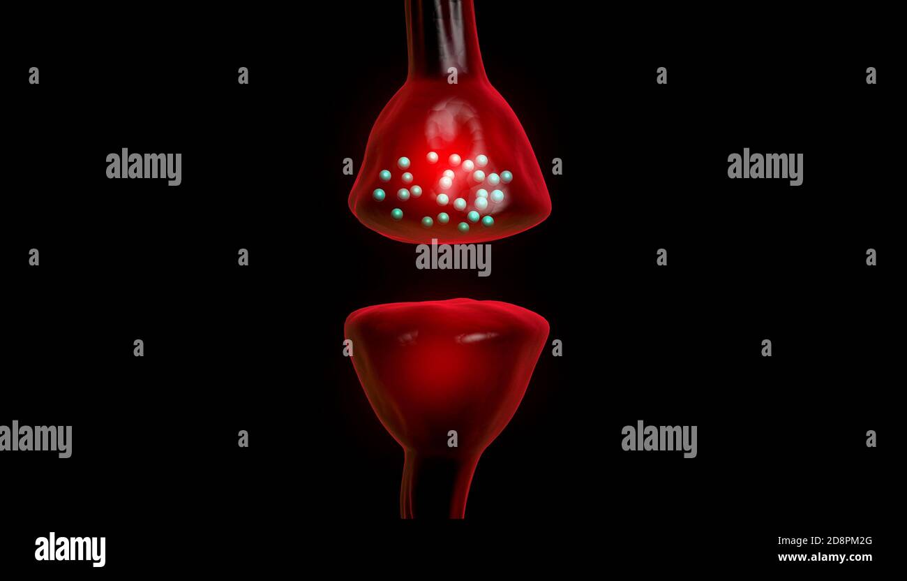 Active cell nucleus 3d hi-res stock photography and images - Alamy