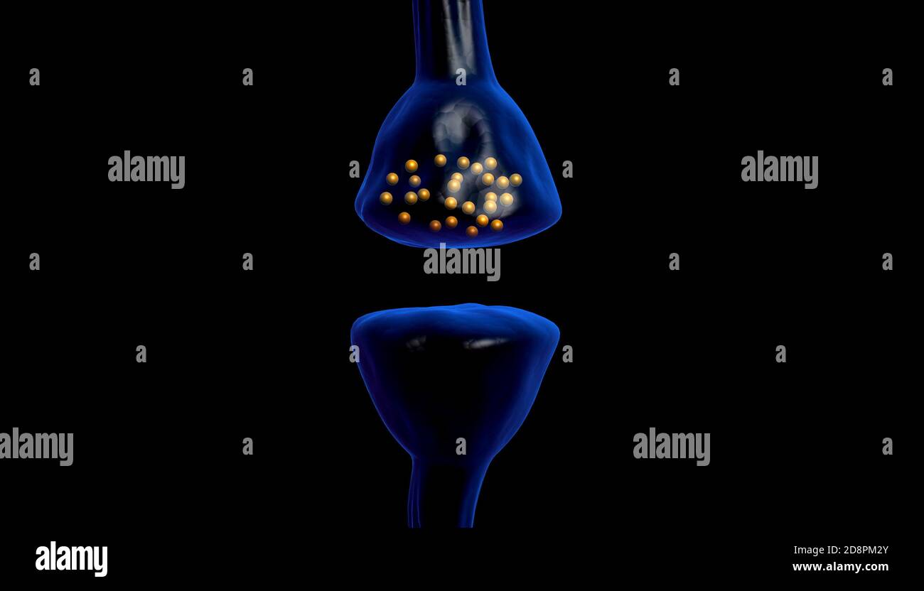 Active nerve cell hi-res stock photography and images - Alamy