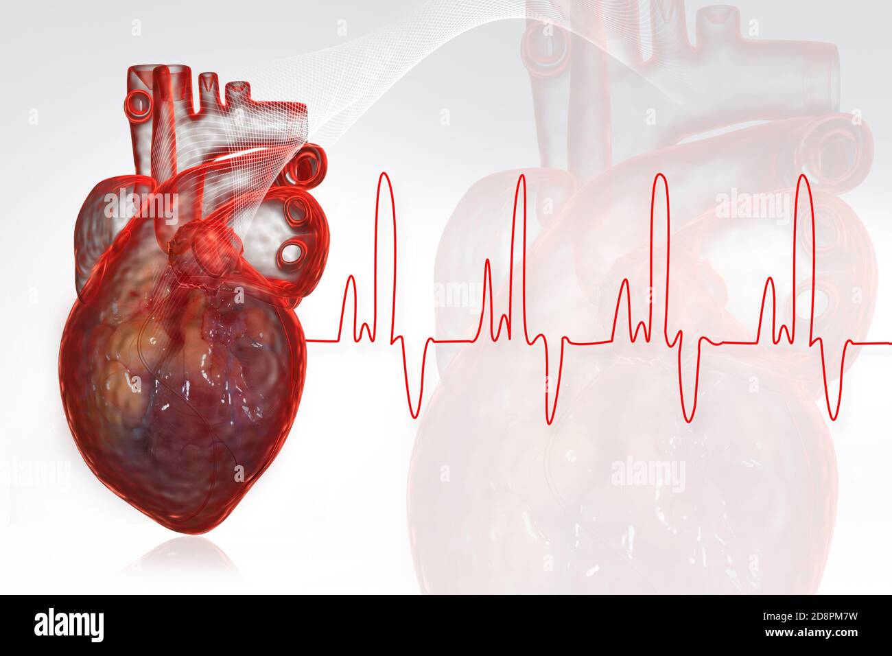 Human heart with ECG Stock Photo - Alamy