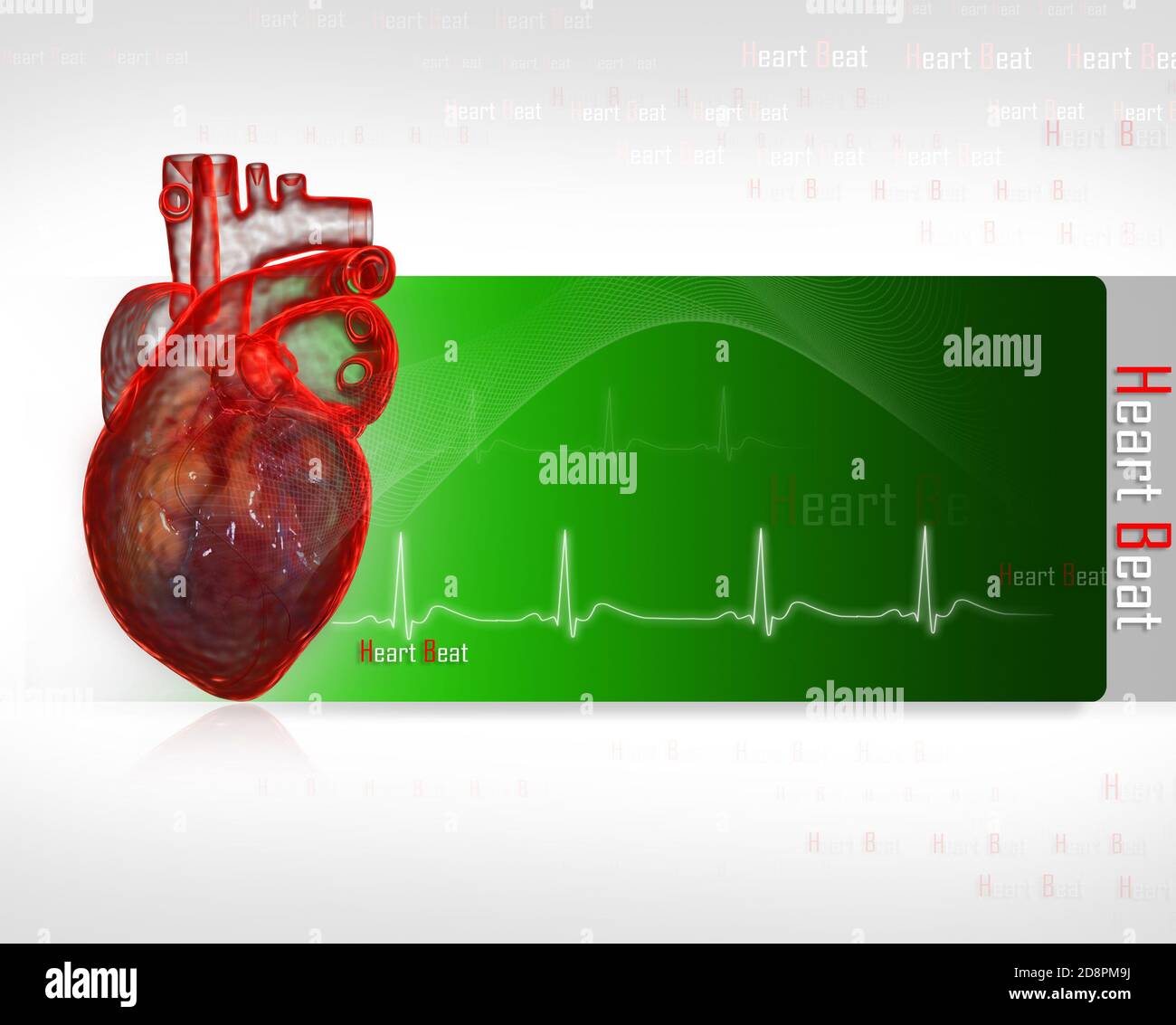 Human heart with ECG Stock Photo - Alamy