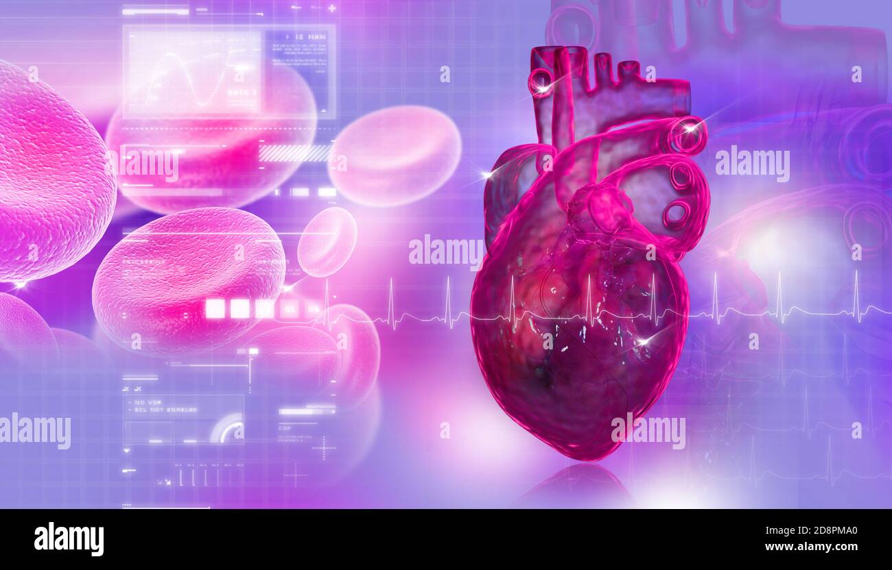 Human heart with blood cell Stock Photo - Alamy