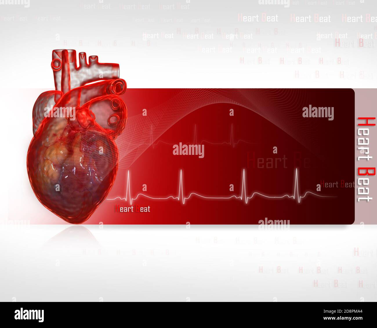 Human heart with ECG Stock Photo - Alamy