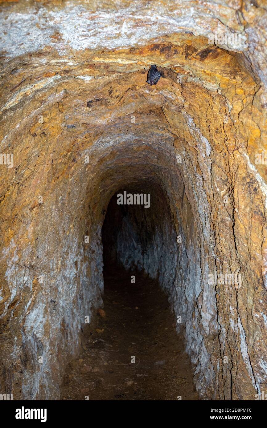 Small Cave where Bats Live Stock Photo - Alamy