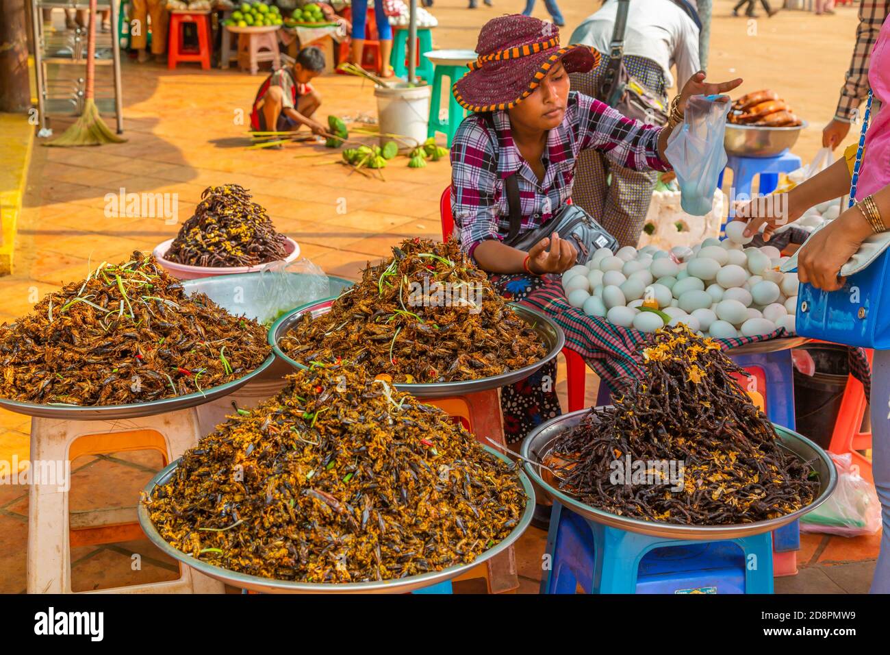 Platters of insects for sale at the Insect Market at Skun, Cambodia ...