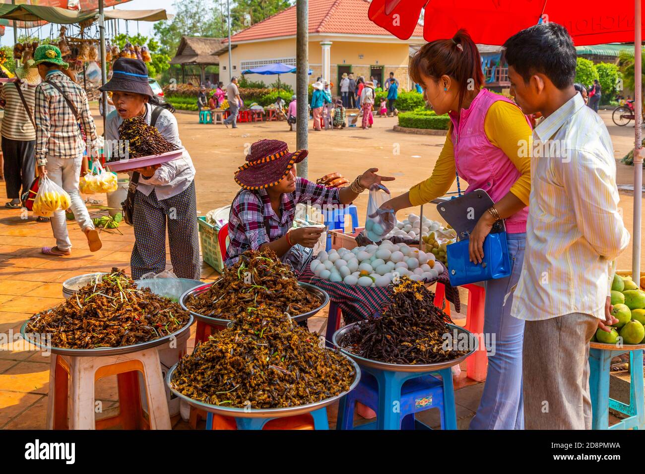 Platters of insects for sale at the Insect Market at Skun, Cambodia ...