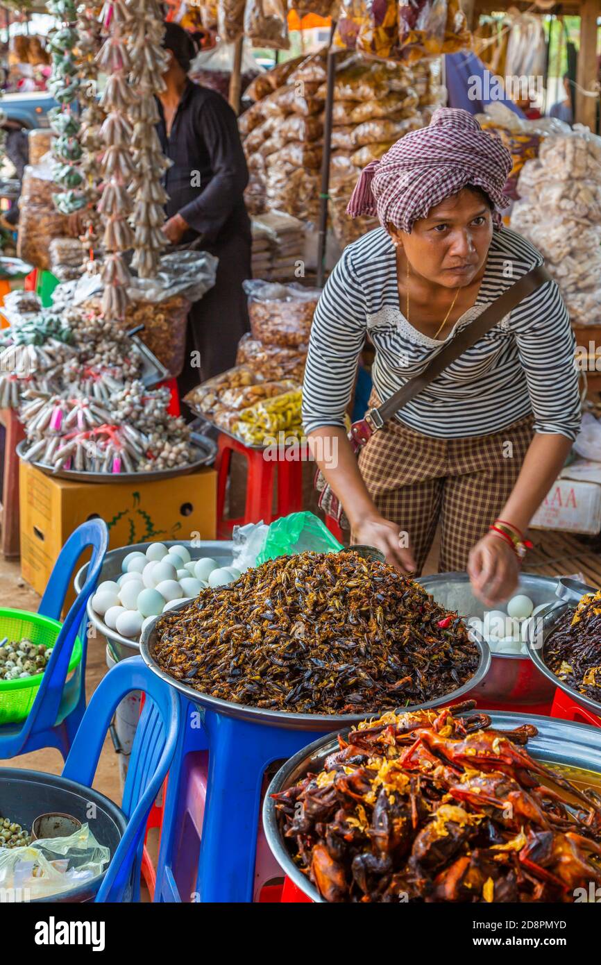 Platters of insects for sale at the Insect Market at Skun, Cambodia ...