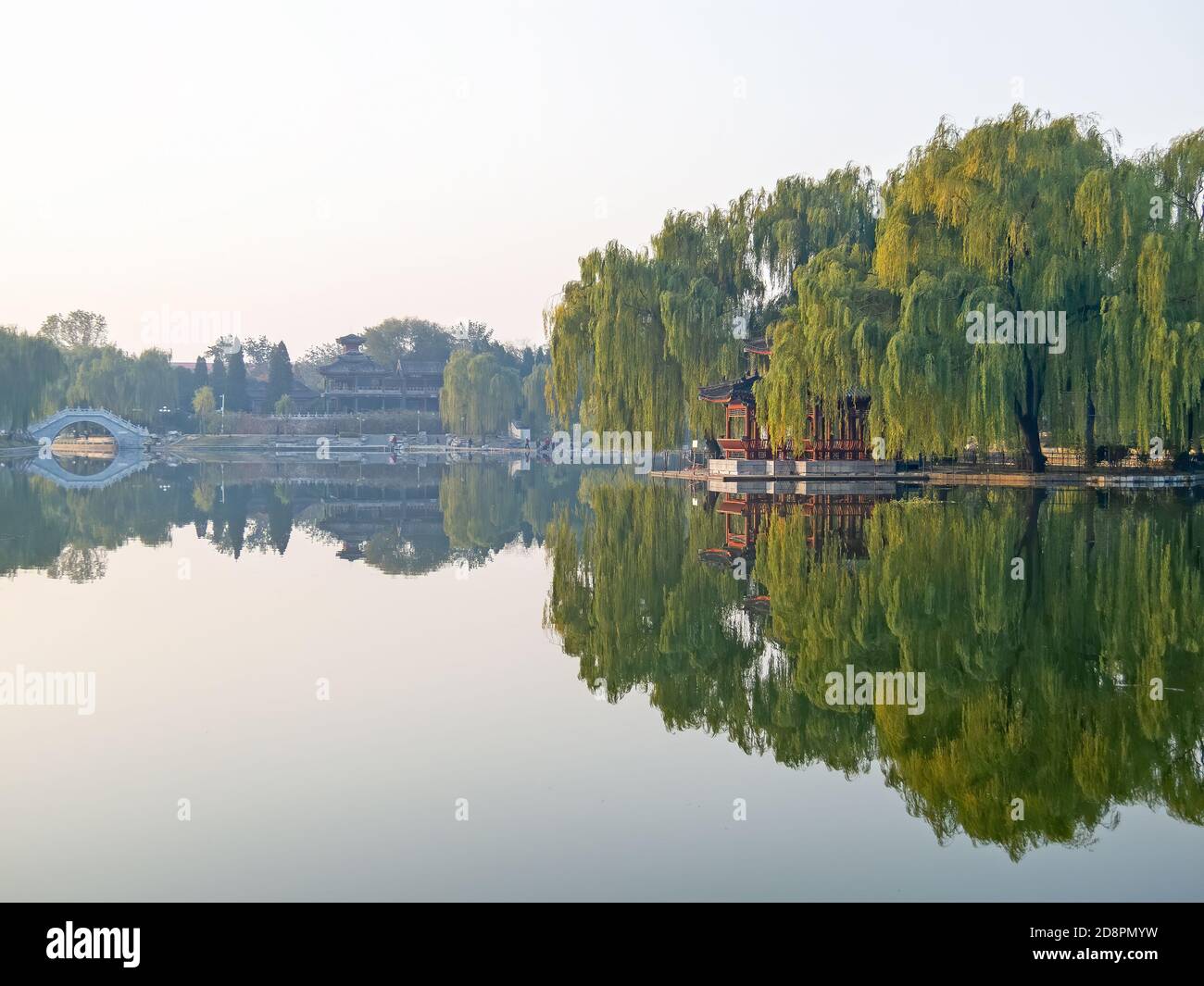 Peking willow beijing hi-res stock photography and images - Alamy