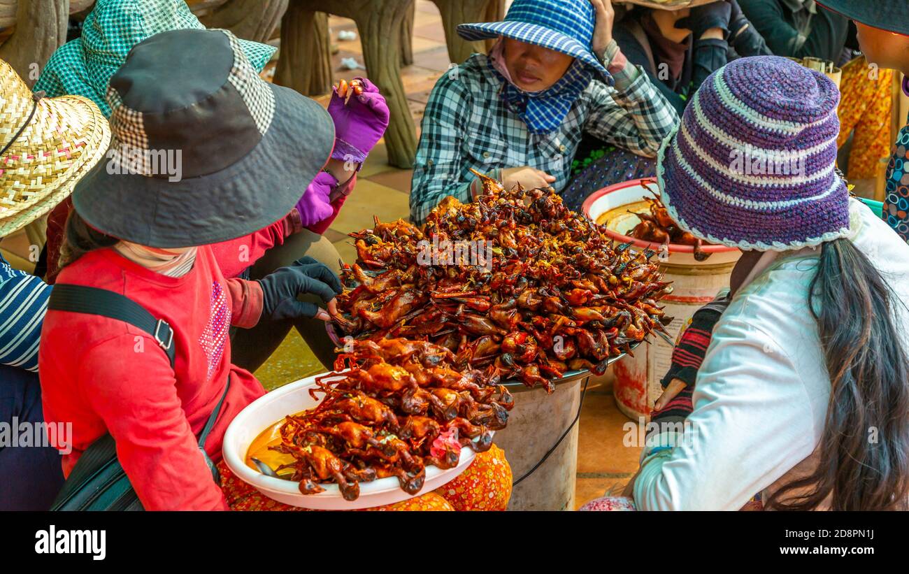 Platters of insects for sale at the Insect Market at Skun, Cambodia ...