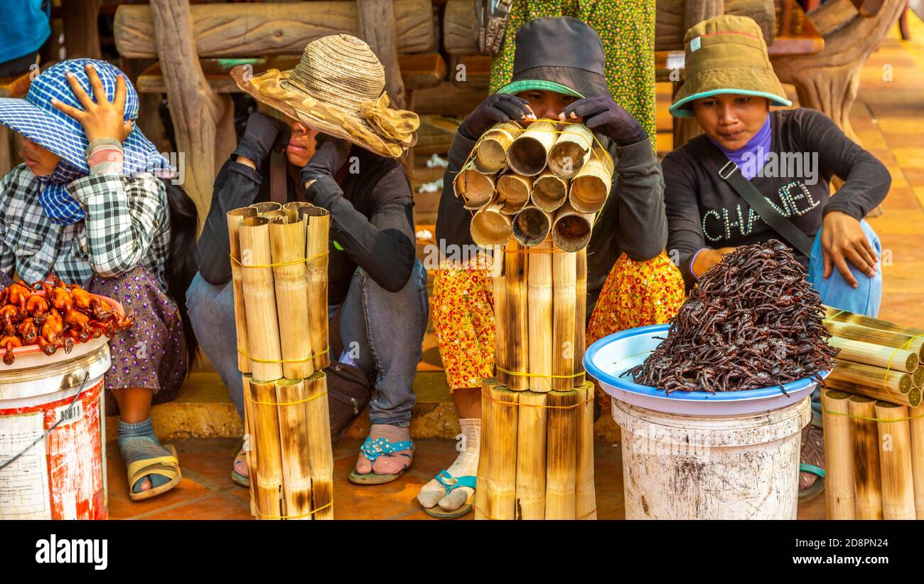 The Insect Market at Skun, Cambodia, Asia Stock Photo - Alamy