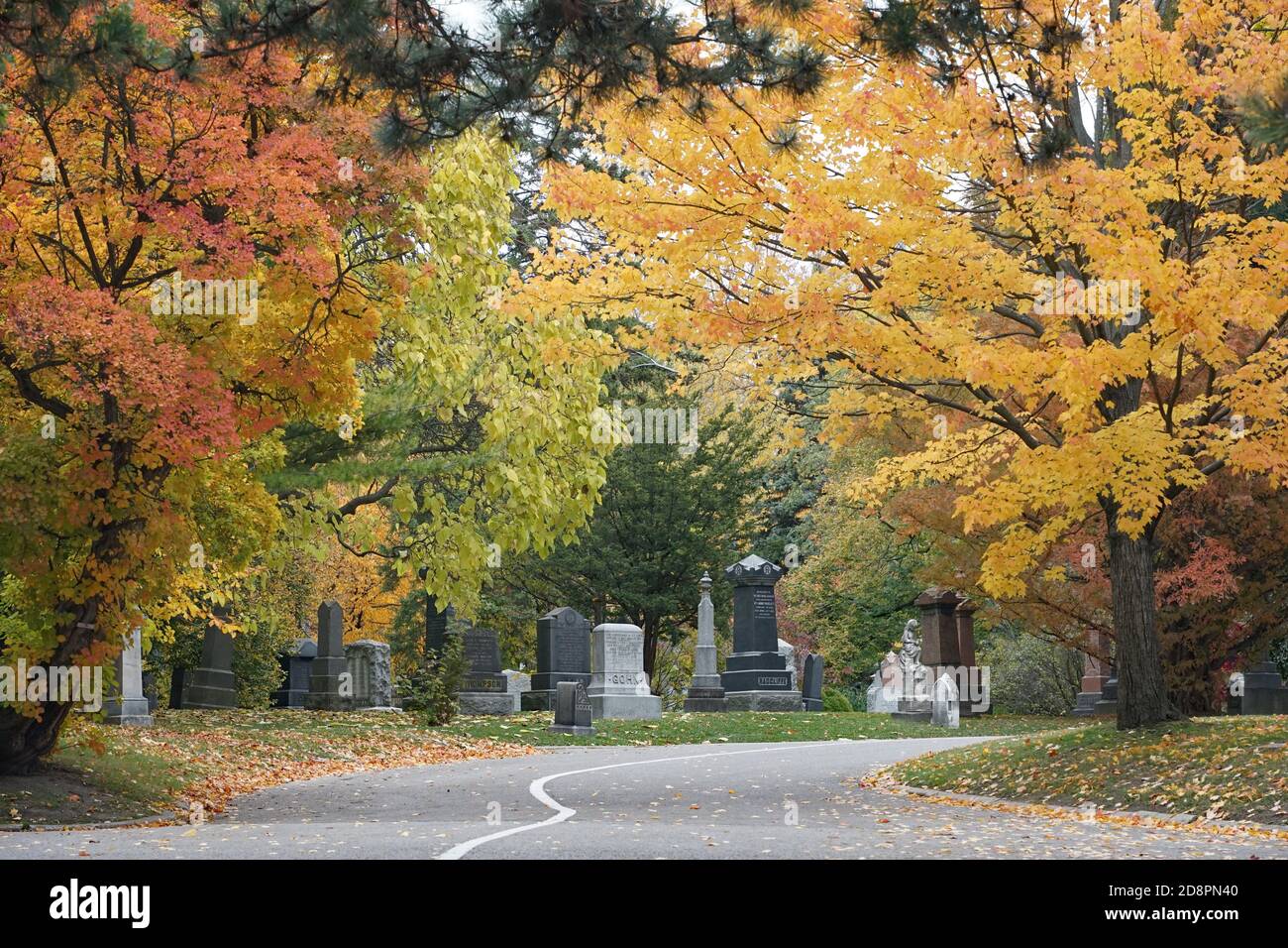 Mount Pleasant Cemetery, Toronto, Canada, trees in fall foliage Stock ...