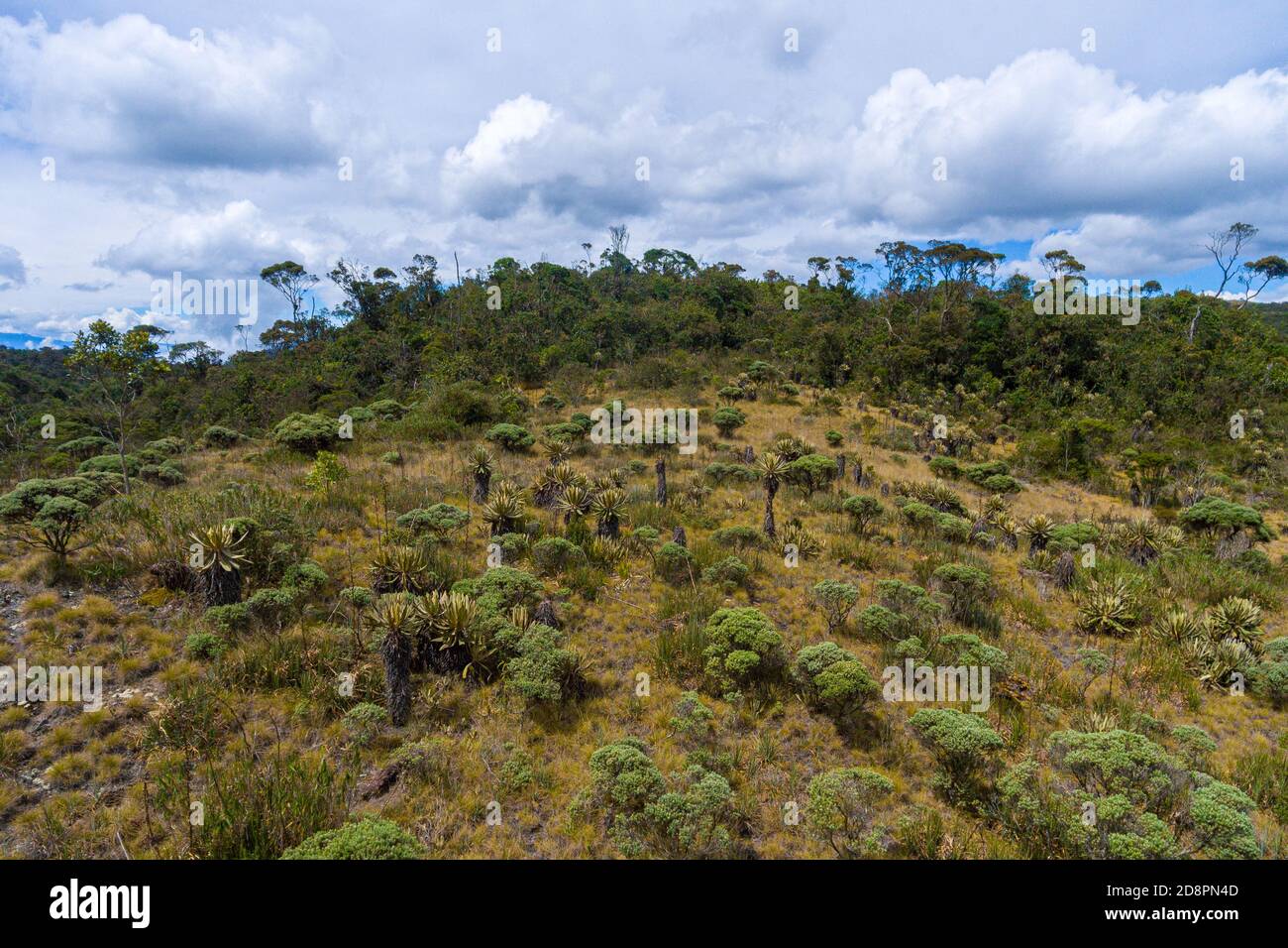 Paramo colombia fog hi-res stock photography and images - Alamy