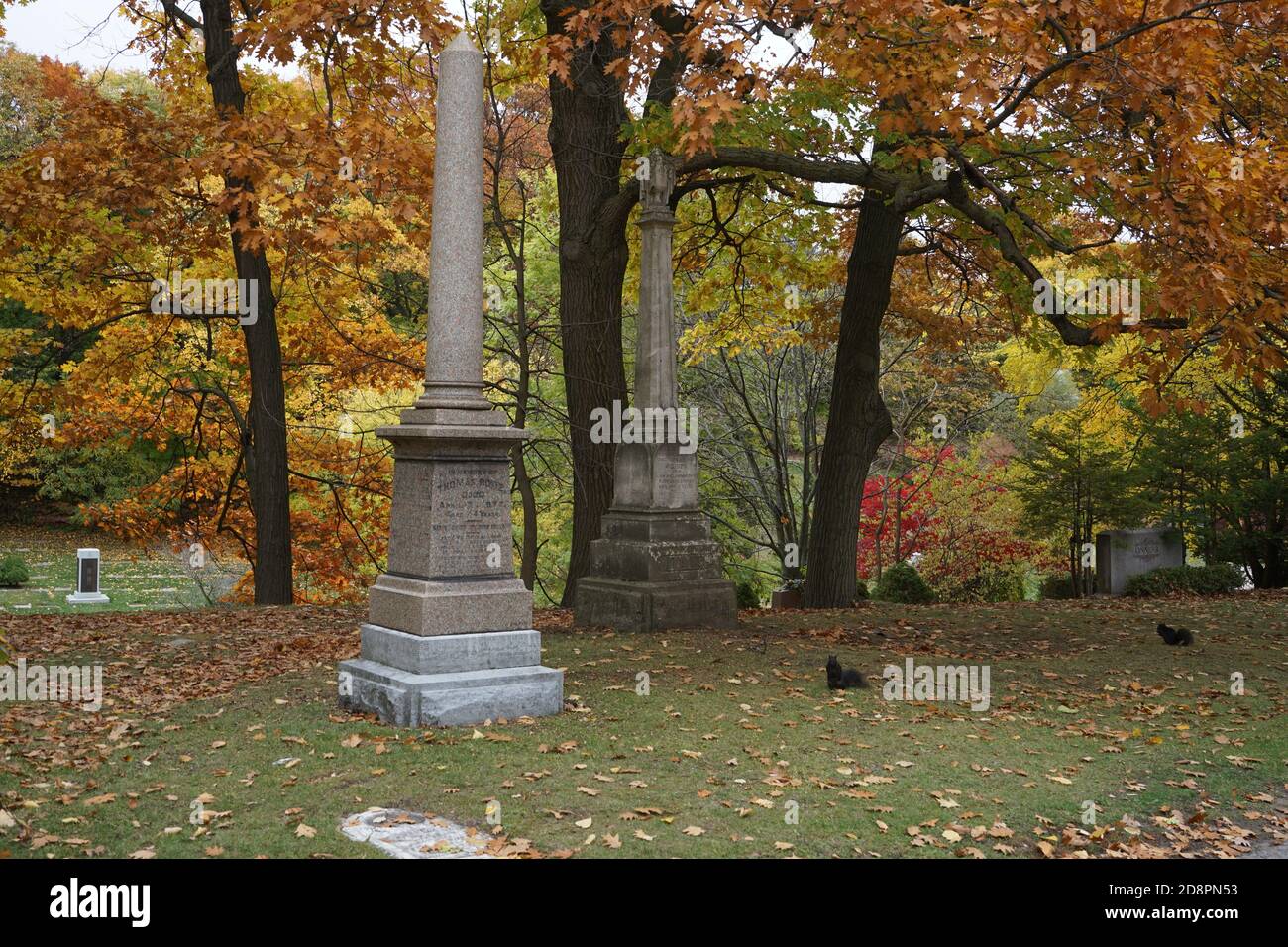 Mount Pleasant Cemetery, Toronto, Canada, trees in fall foliage Stock ...
