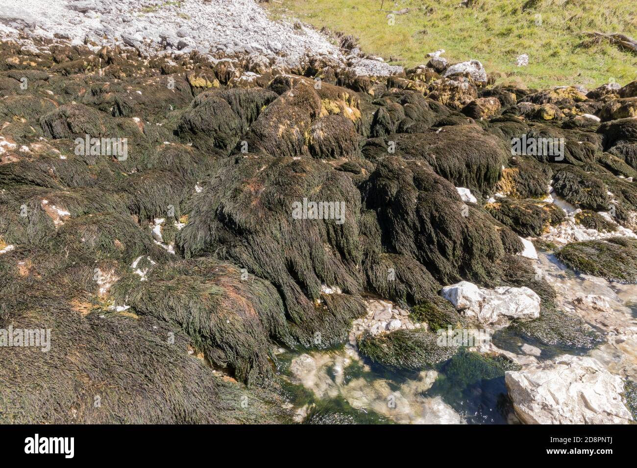 The sources of the Saine from Jura in France Stock Photo - Alamy