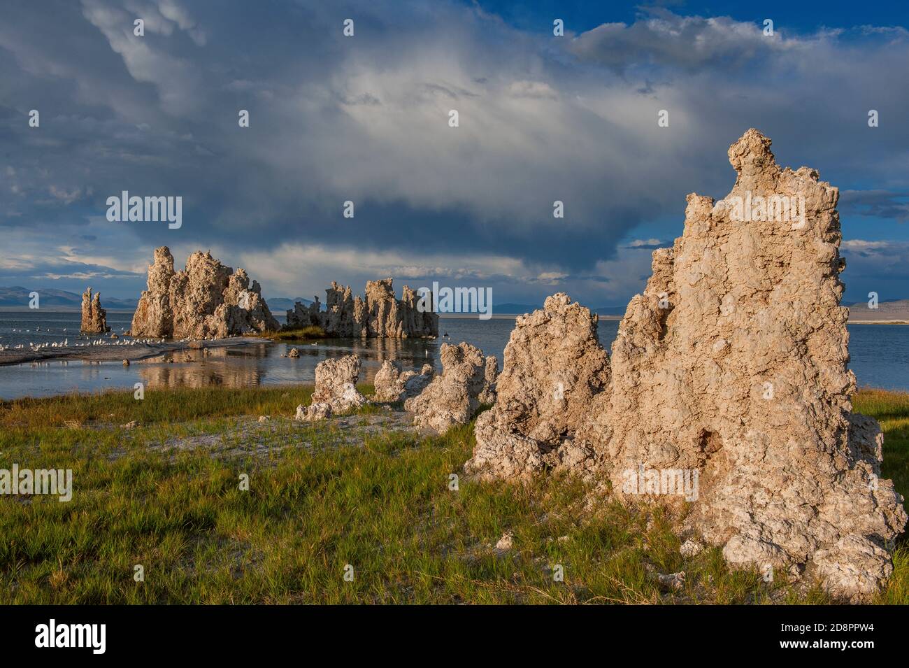 Tufa Formations, Mono Lake, Mono Basin National Forest Scenic Area ...