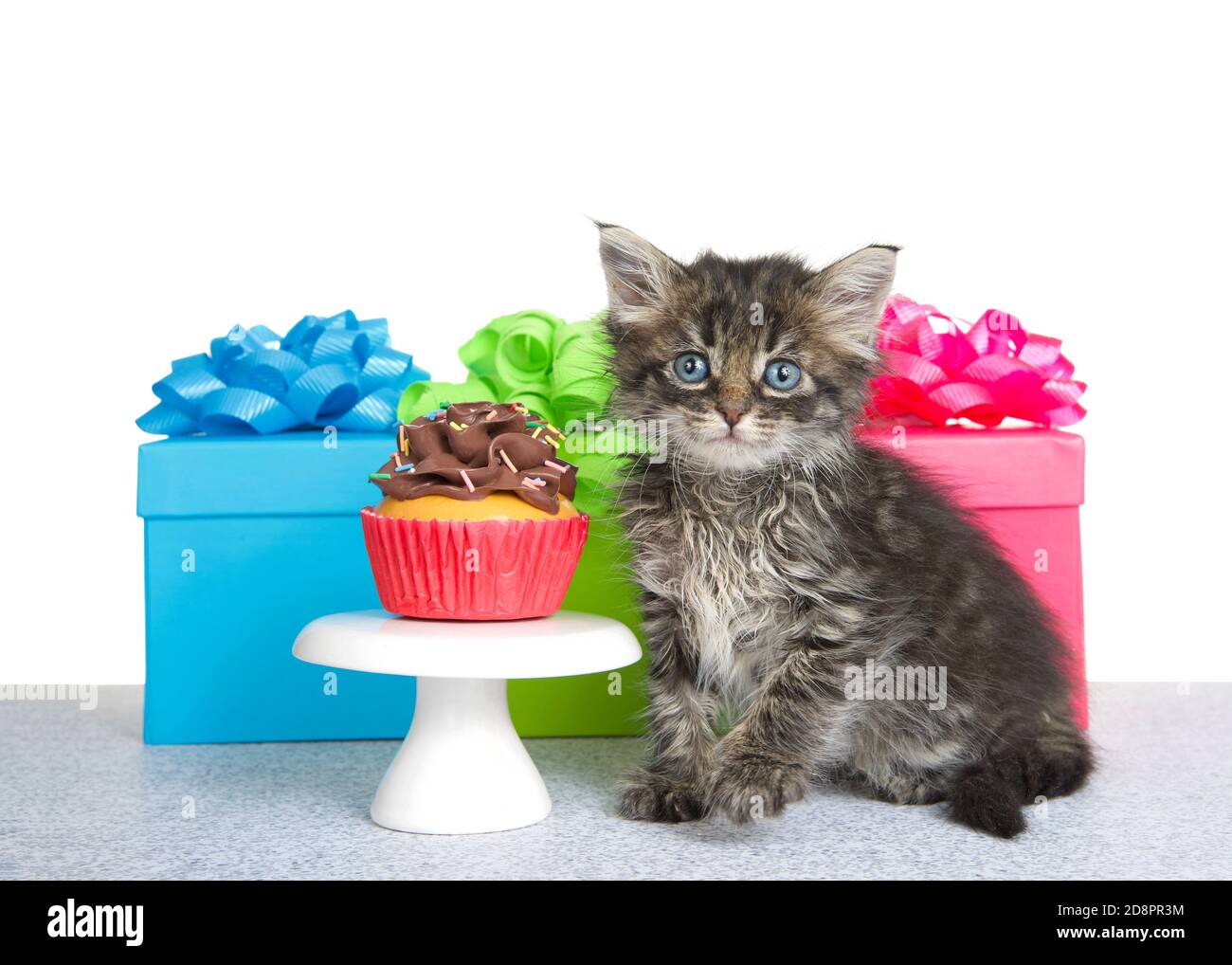 Funny chocolate cakes party hi-res stock photography and images - Alamy