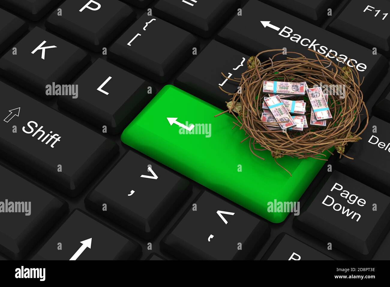 Dollar protected in nest with enter key Stock Photo - Alamy
