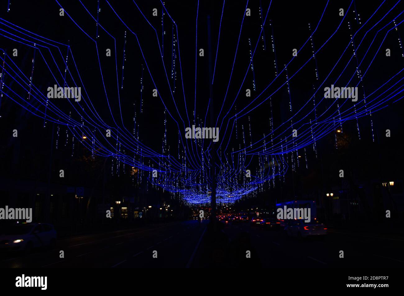 Blue Christmas lights illuminating the path in a park Stock Photo - Alamy