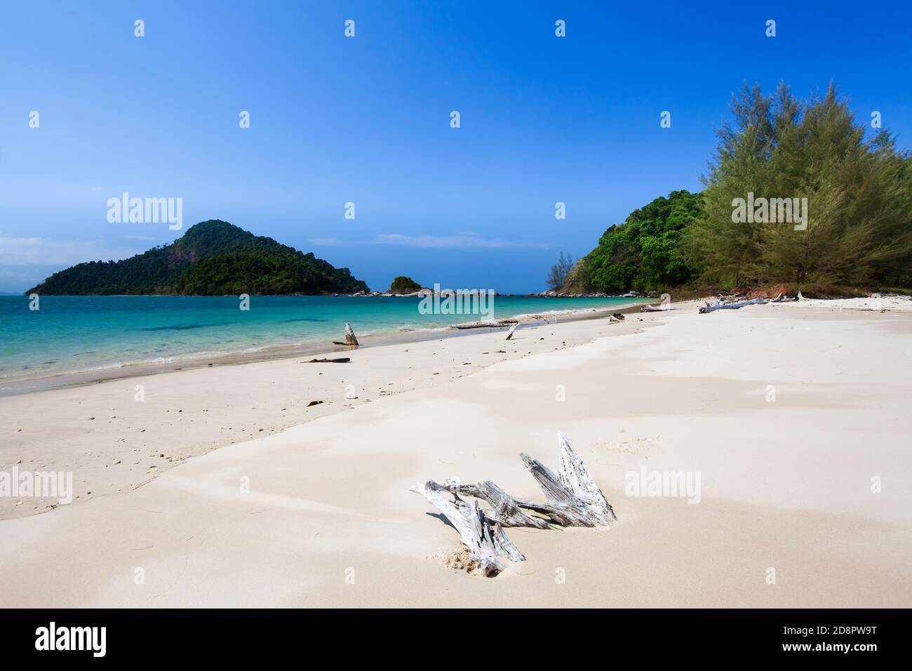 Pure tropical island on sunny summer, old white logs on the white sand ...