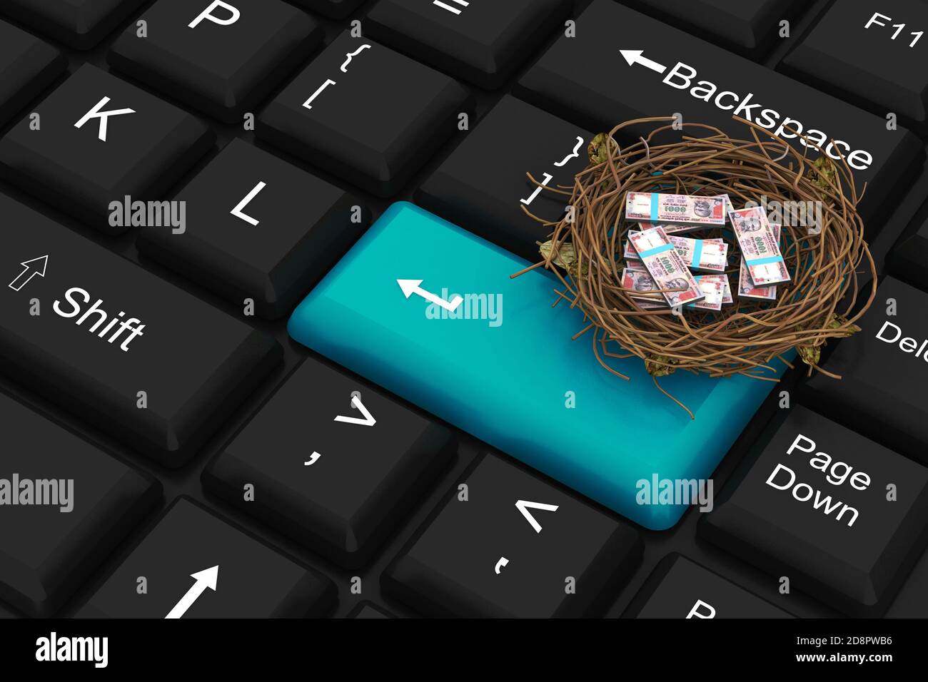 Dollar protected in nest with enter key Stock Photo - Alamy