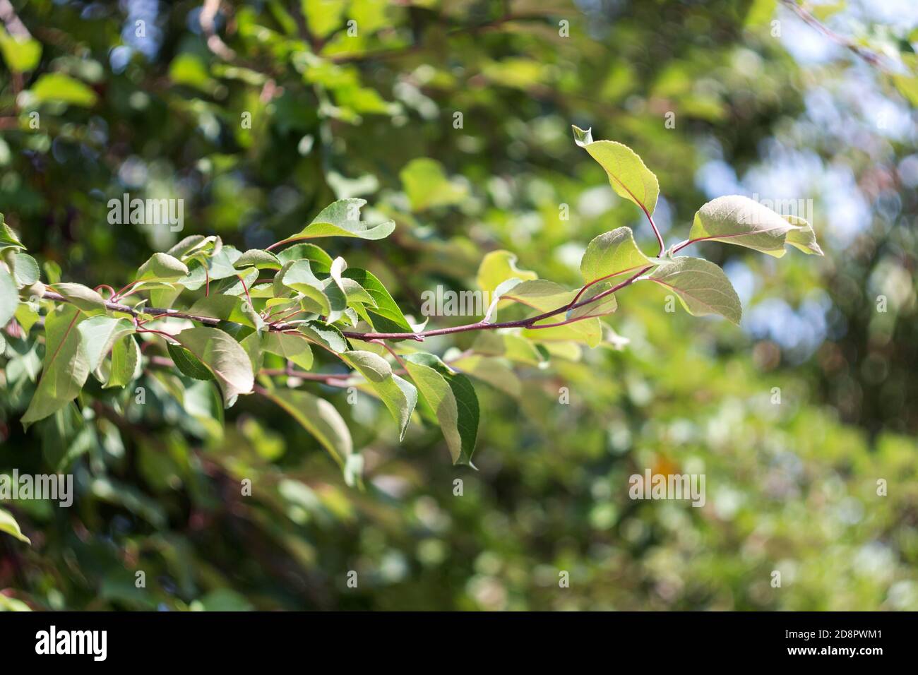 Spring photo poster outdoor hi-res stock photography and images - Alamy