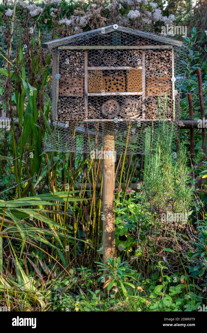 Insect Houses High Resolution Stock Photography and Images - Alamy