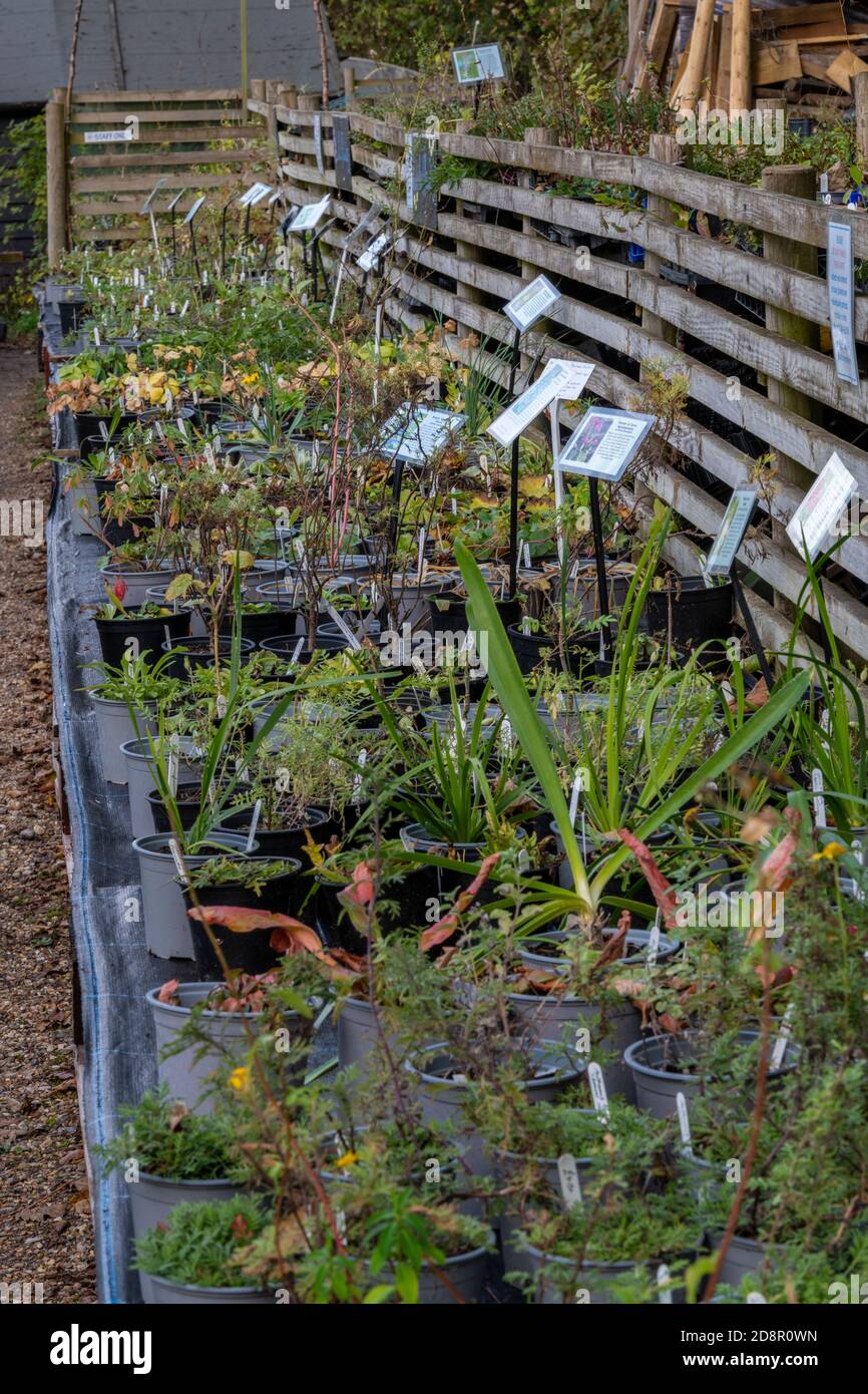 Gardening aisle hi-res stock photography and images - Alamy