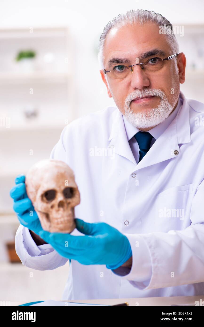 Old male anthropologist working in the lab Stock Photo - Alamy