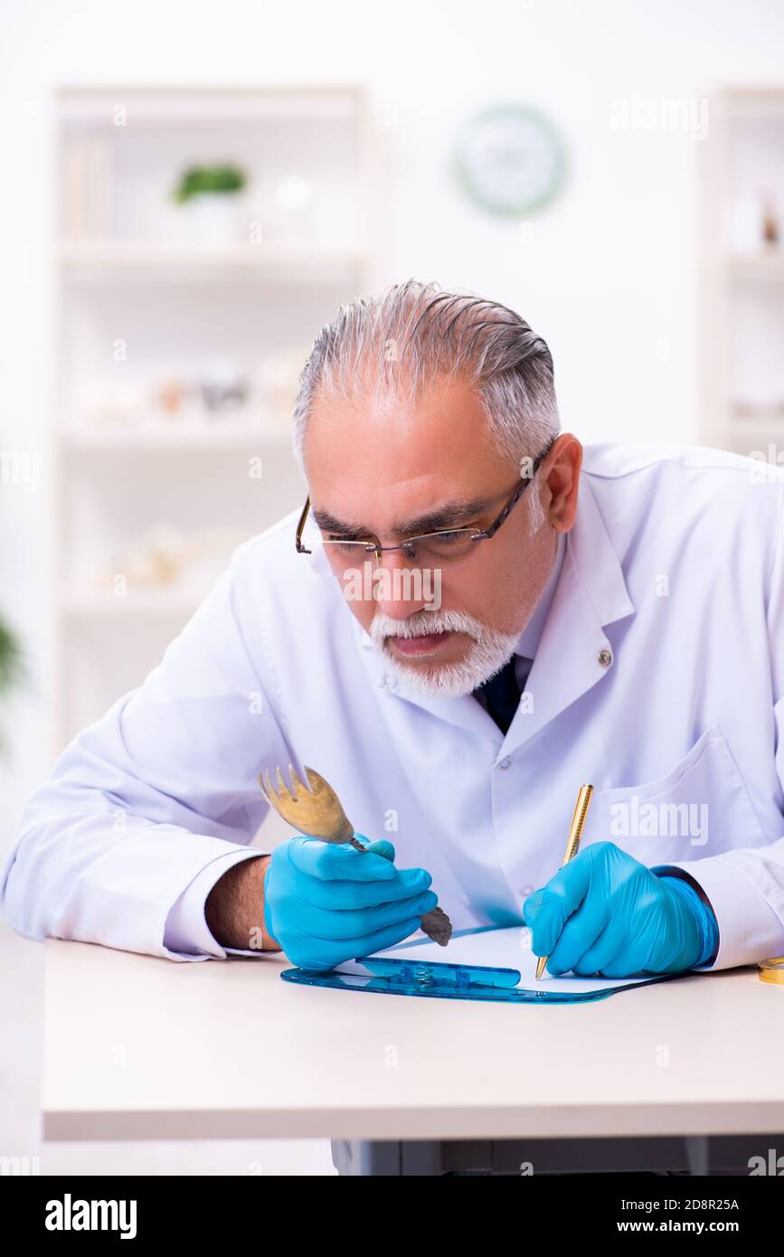 Old male archaeologist working in the lab Stock Photo - Alamy
