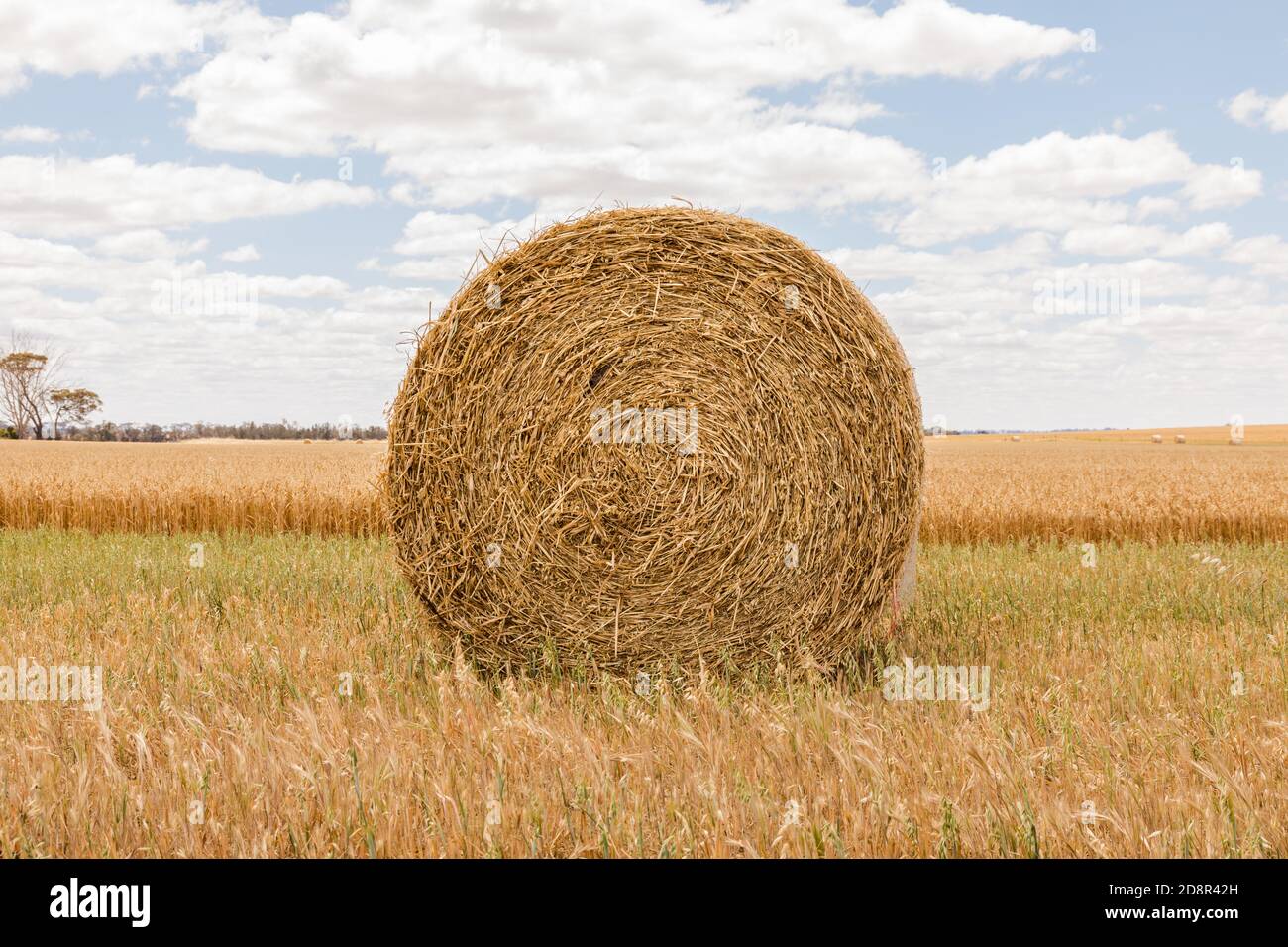 Wheatbelt hi-res stock photography and images - Alamy