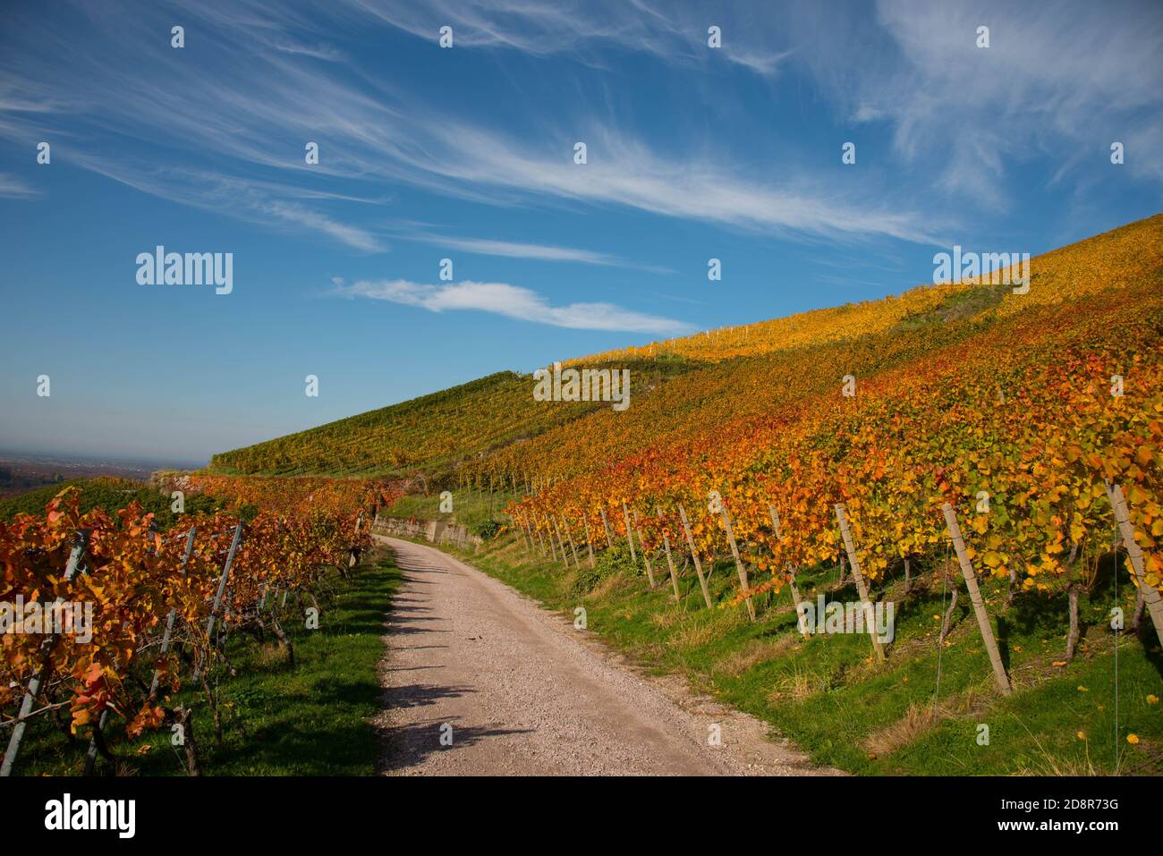 beautiful autumn scenery in Sasbachwalden in the black forest in ...