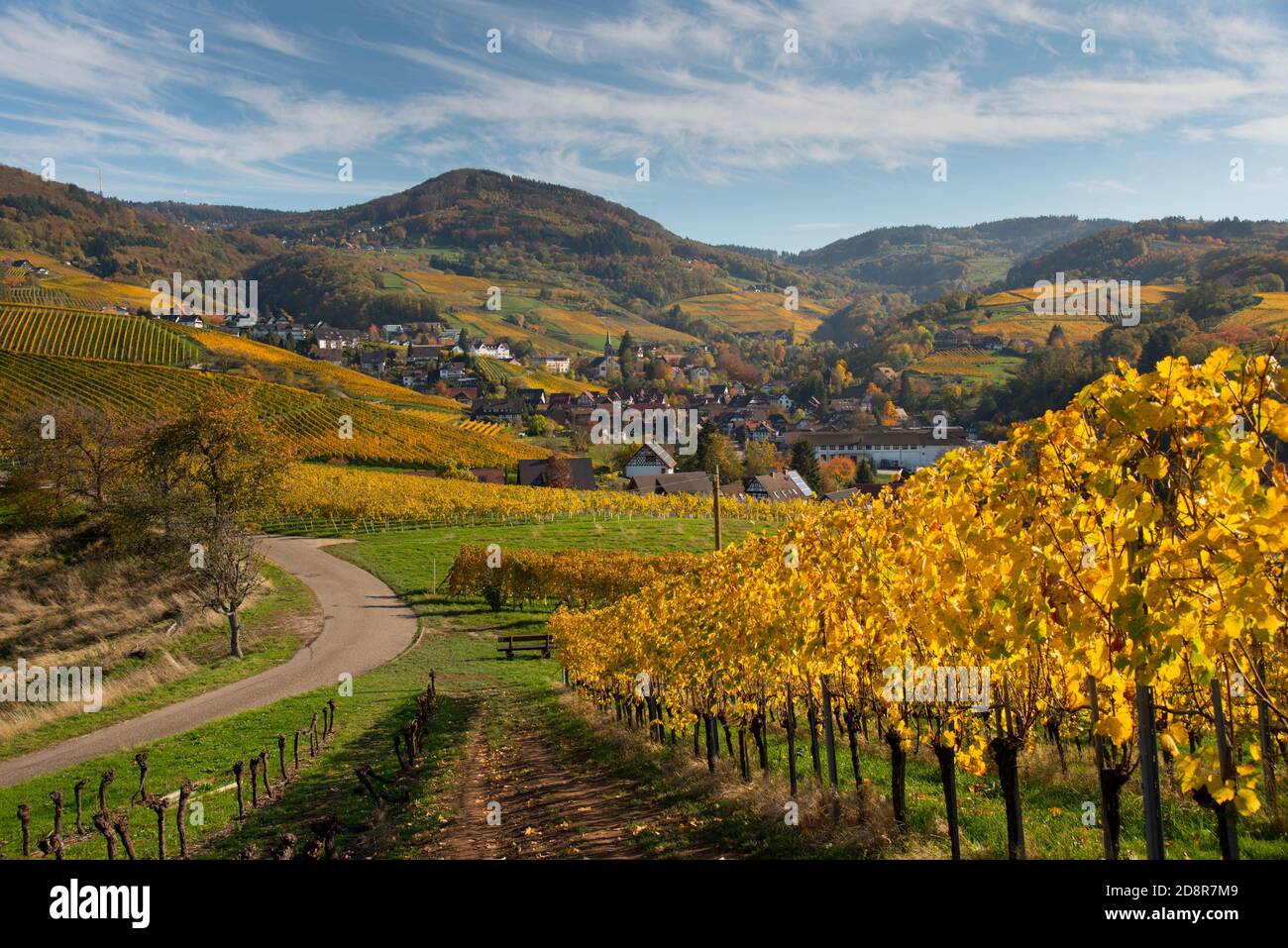 beautiful autumn scenery in Sasbachwalden in the black forest in ...