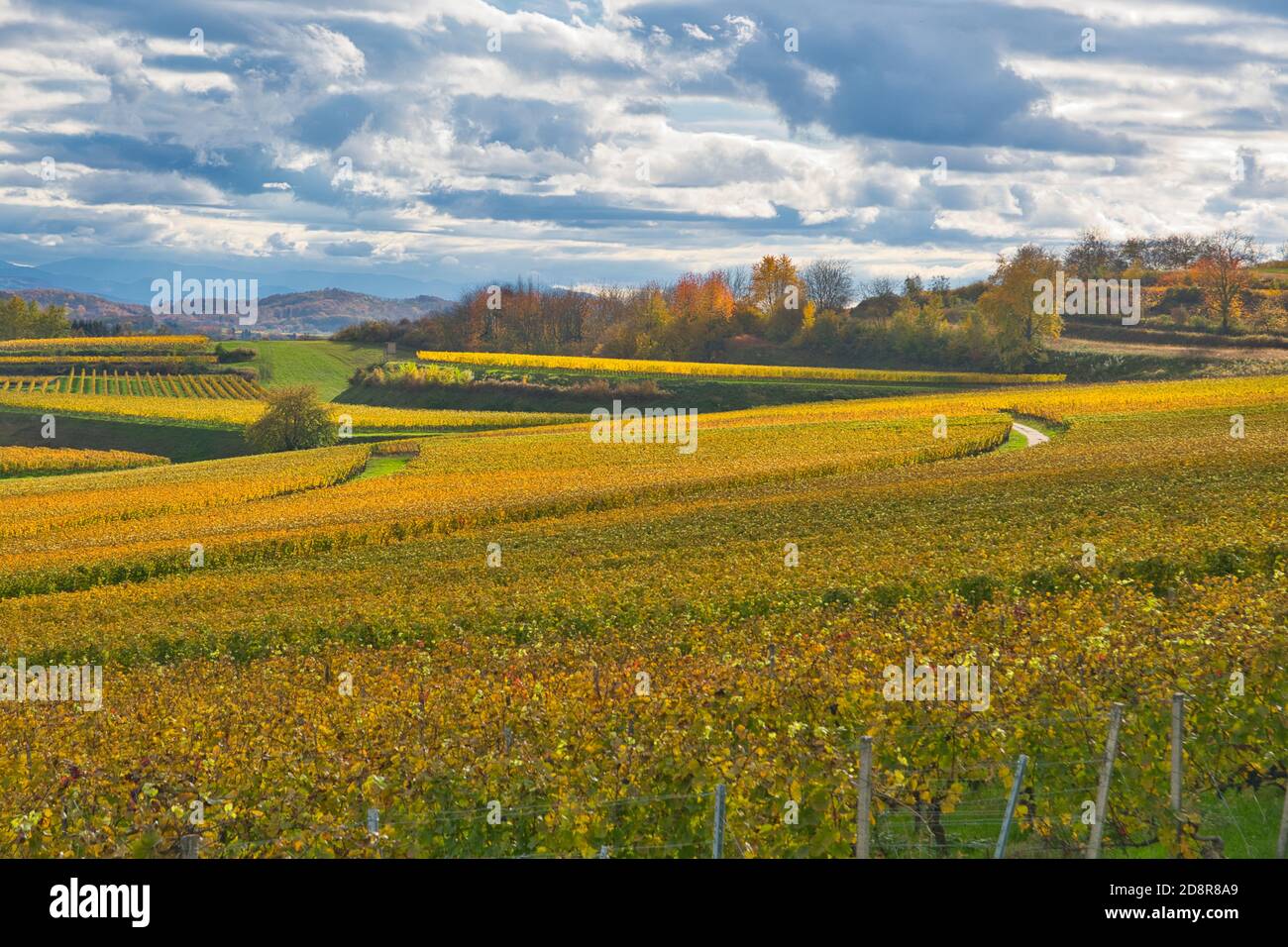 Oberkirch hi-res stock photography and images - Alamy