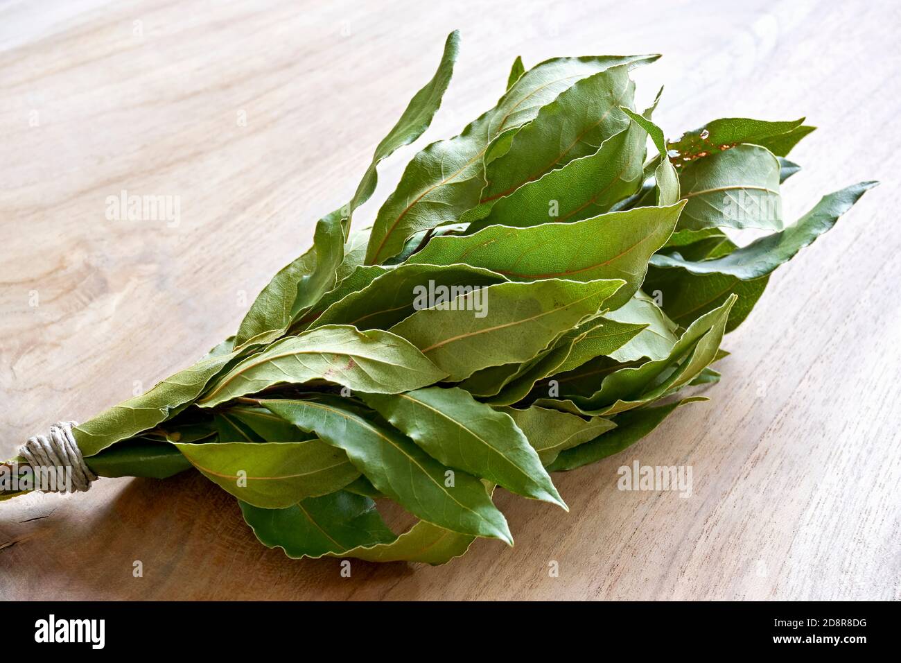 Dry green bay leaves tied with rope on a wooden background. Also named ...