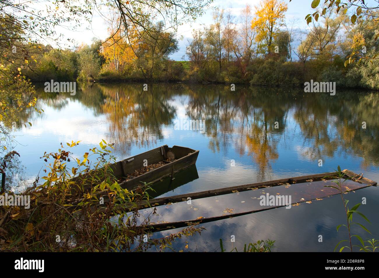 november in the rhine wetlands in the ortenau area in germany Stock ...