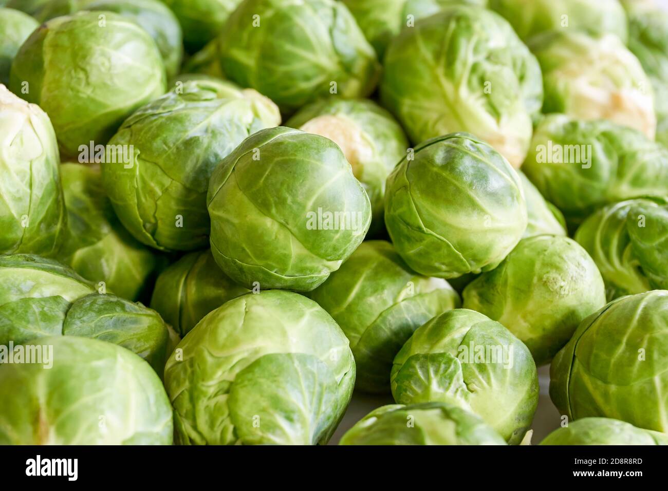 Closeup of many brussels sprouts. Vegetable background Stock Photo - Alamy