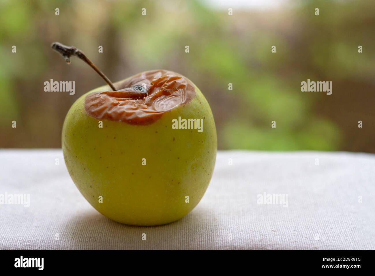 Apple Decay High Resolution Stock Photography and Images - Alamy