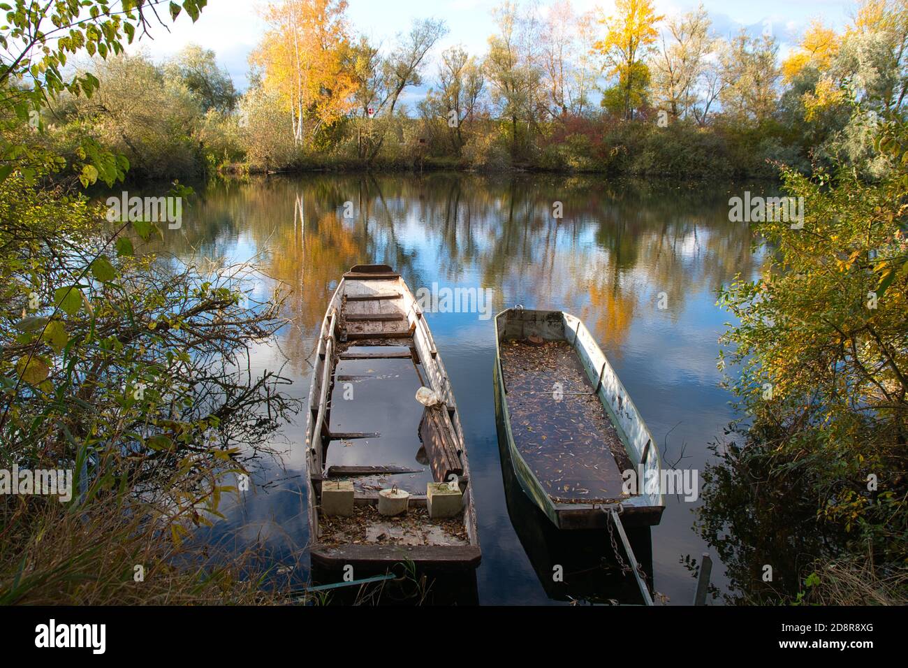 november in the rhine wetlands in the ortenau area in germany Stock ...