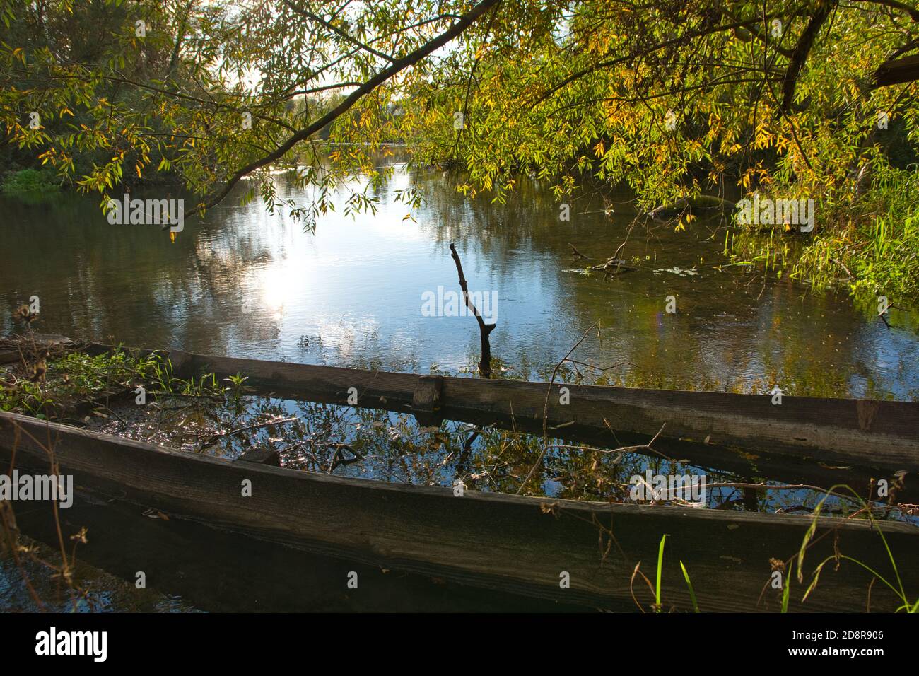 november in the rhine wetlands in the ortenau area in germany Stock ...