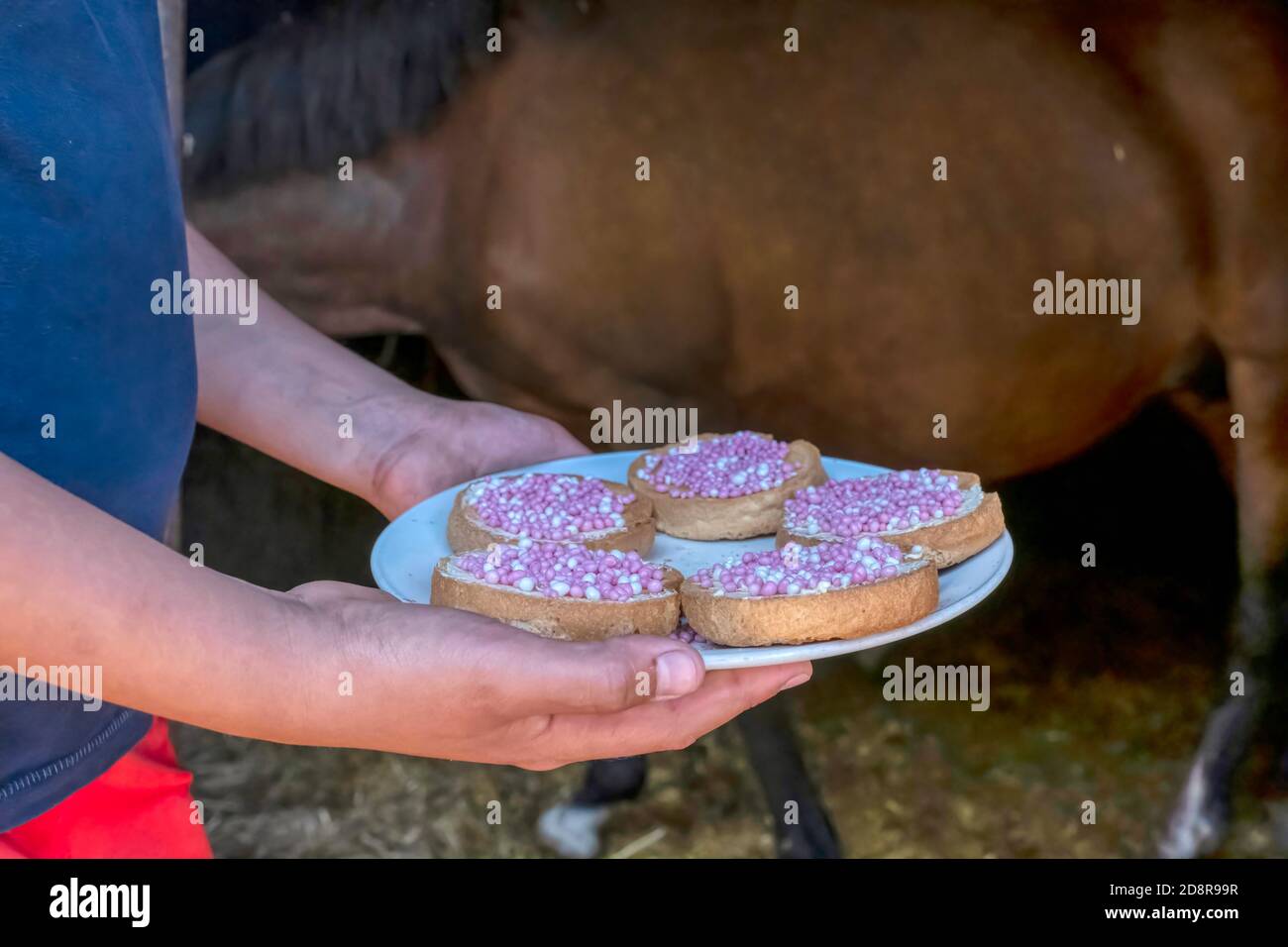 Traditional Dutch birth celebration biscuit with pink mice. rusk with ...