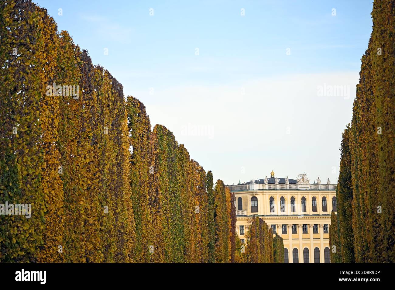 Fall hedge hi-res stock photography and images - Alamy