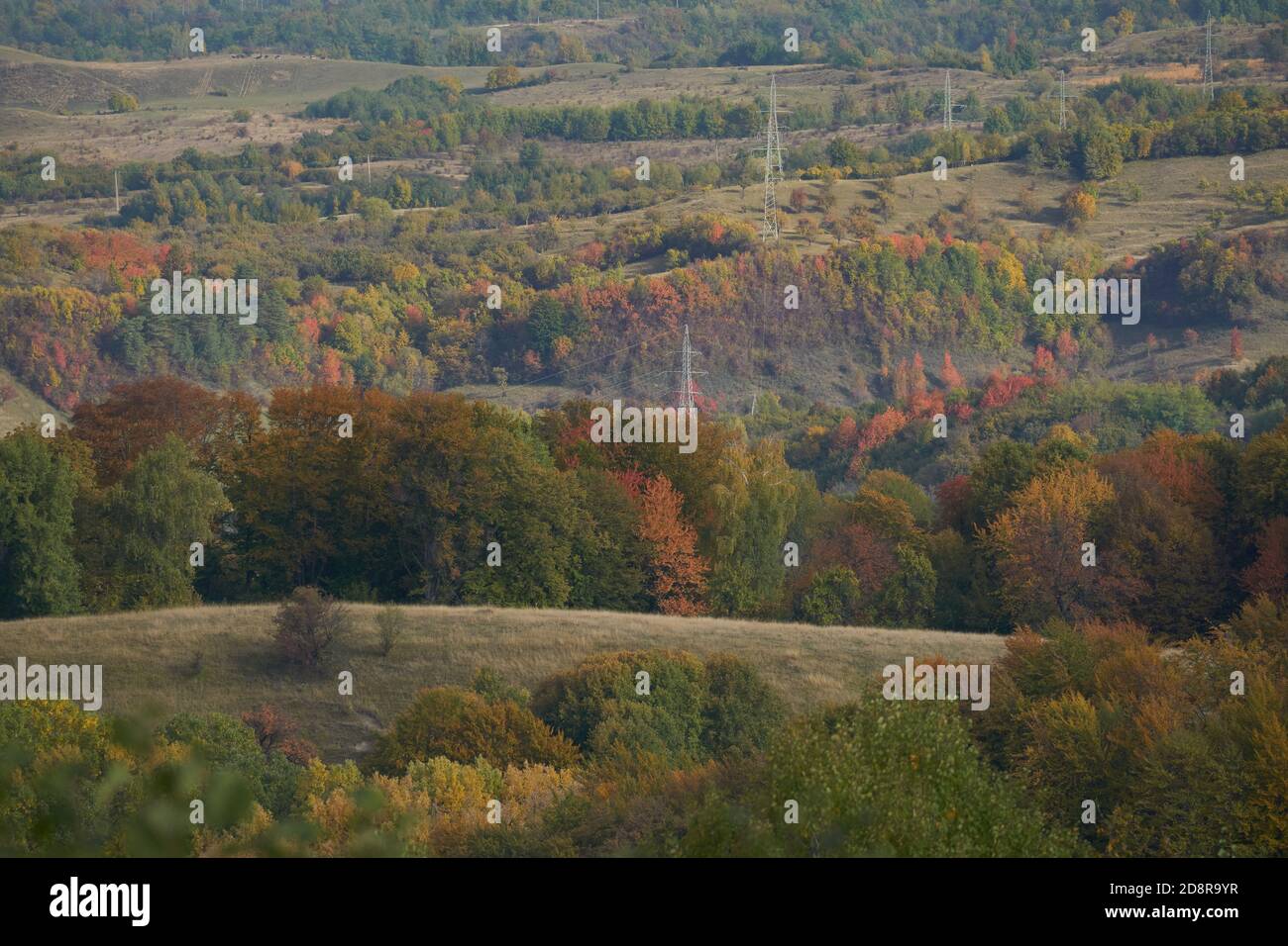 colorful fall foliage with trees changing colors Stock Photo - Alamy