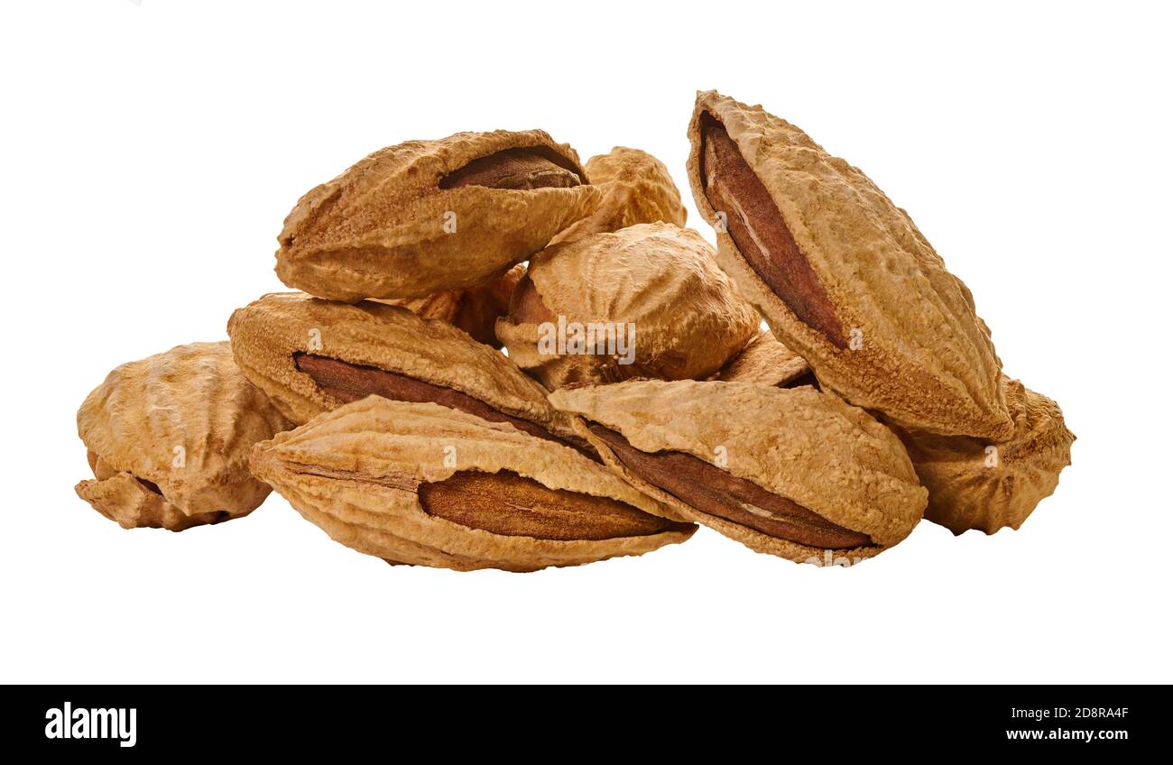 almonds shell with clipping path on a white isolated background Stock ...