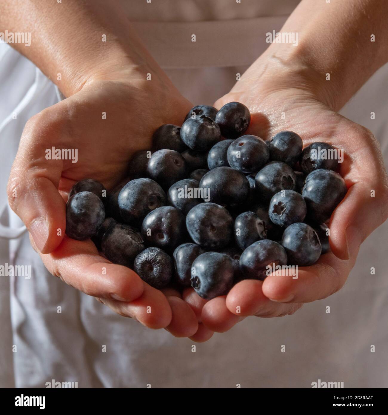 Close-up of fresh blueberries on a table Stock Photo - Alamy